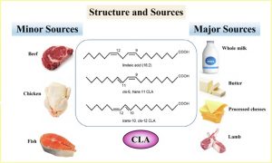 What is CLA in Beef and Why It Matters