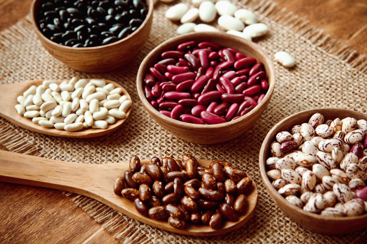 What Are Vegetarian Beans? A Guide to Bean-Based Meatless Meals